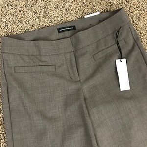 Express | Pants & Jumpsuits | Nwt Express Wide Leg Pant | Poshmark